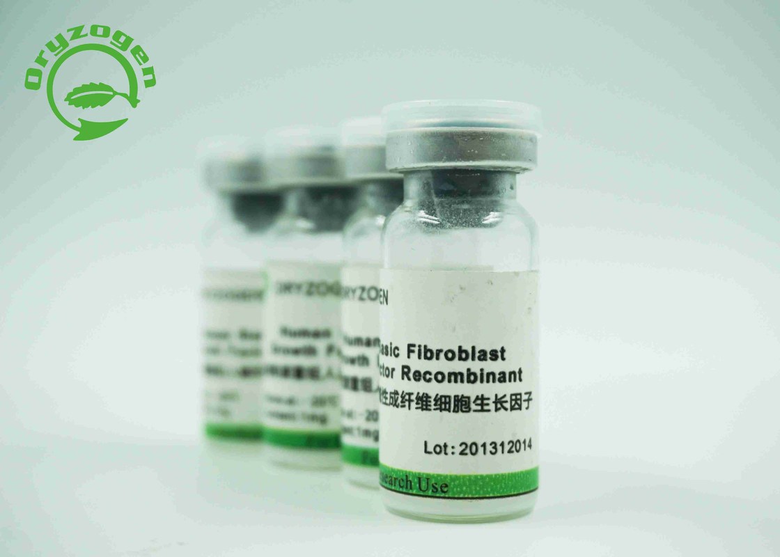 Animal Free Recombinant Epidermal Growth Factor rEGF 1 × 10^6 Units ...