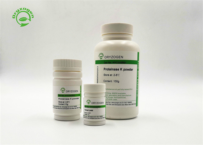 Recombinant Proteinase K Powder Molecular Biology Grade High Purity proteinase k size 100g