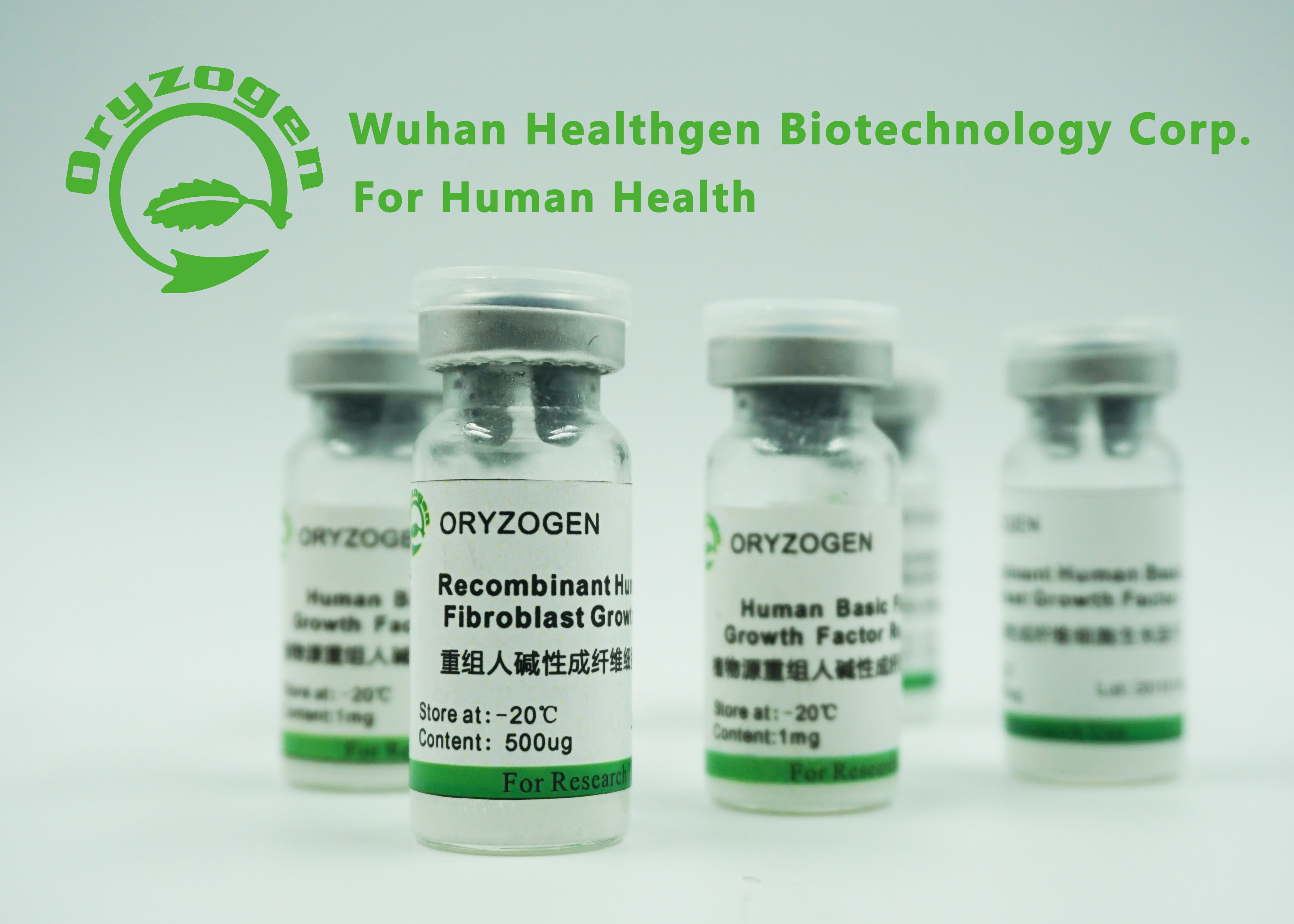 Low Endotoxin Basic Fibroblast Growth Factor bFGF Lyophilized Powder ...