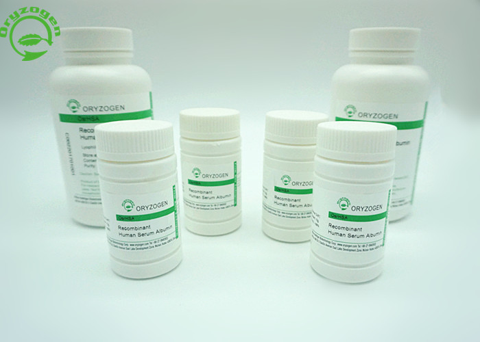 Derived From Rice Grain Recombinant Human Albumin Protein HSA High ...